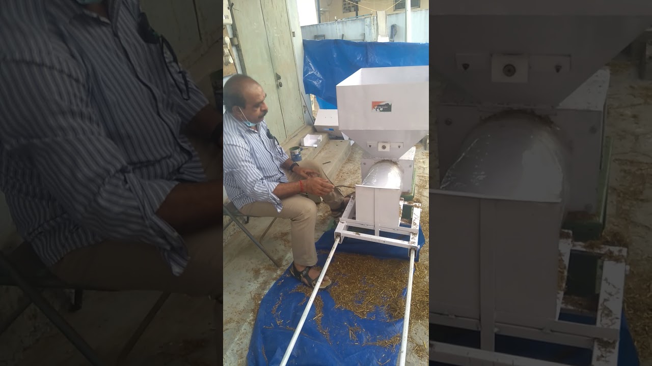 Mushroom Bag Packaging Machine: Simplifying Bag Filling Process ...